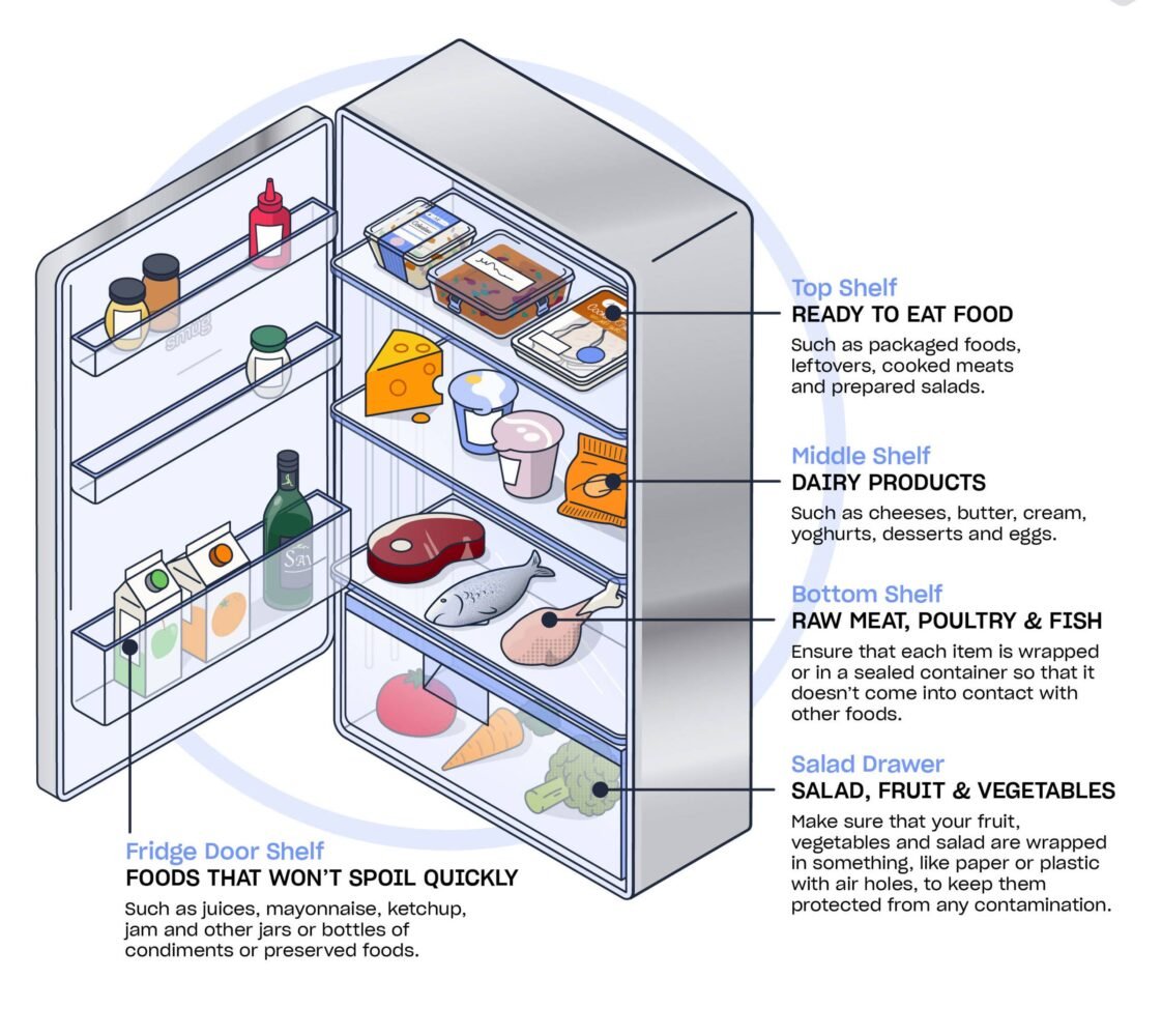 Choosing the Best Egg Holder for Your Fridge: Door Vs. Shelf Options ...