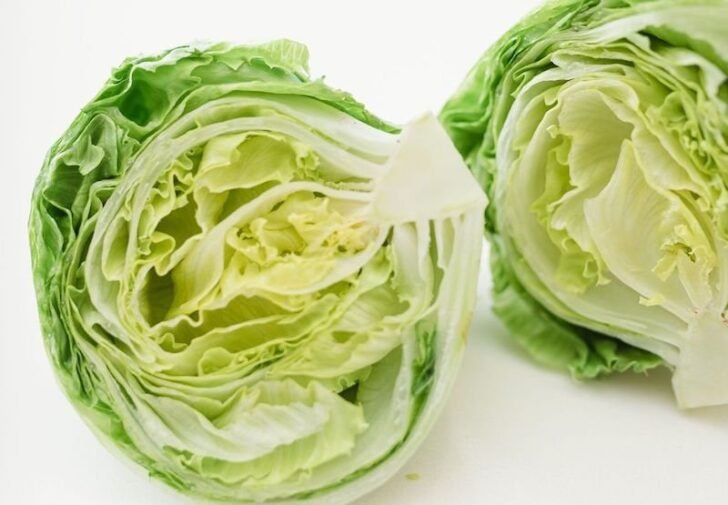Ultimate Guide to Storing Cabbage: How Long Does It Last in the Fridge ...